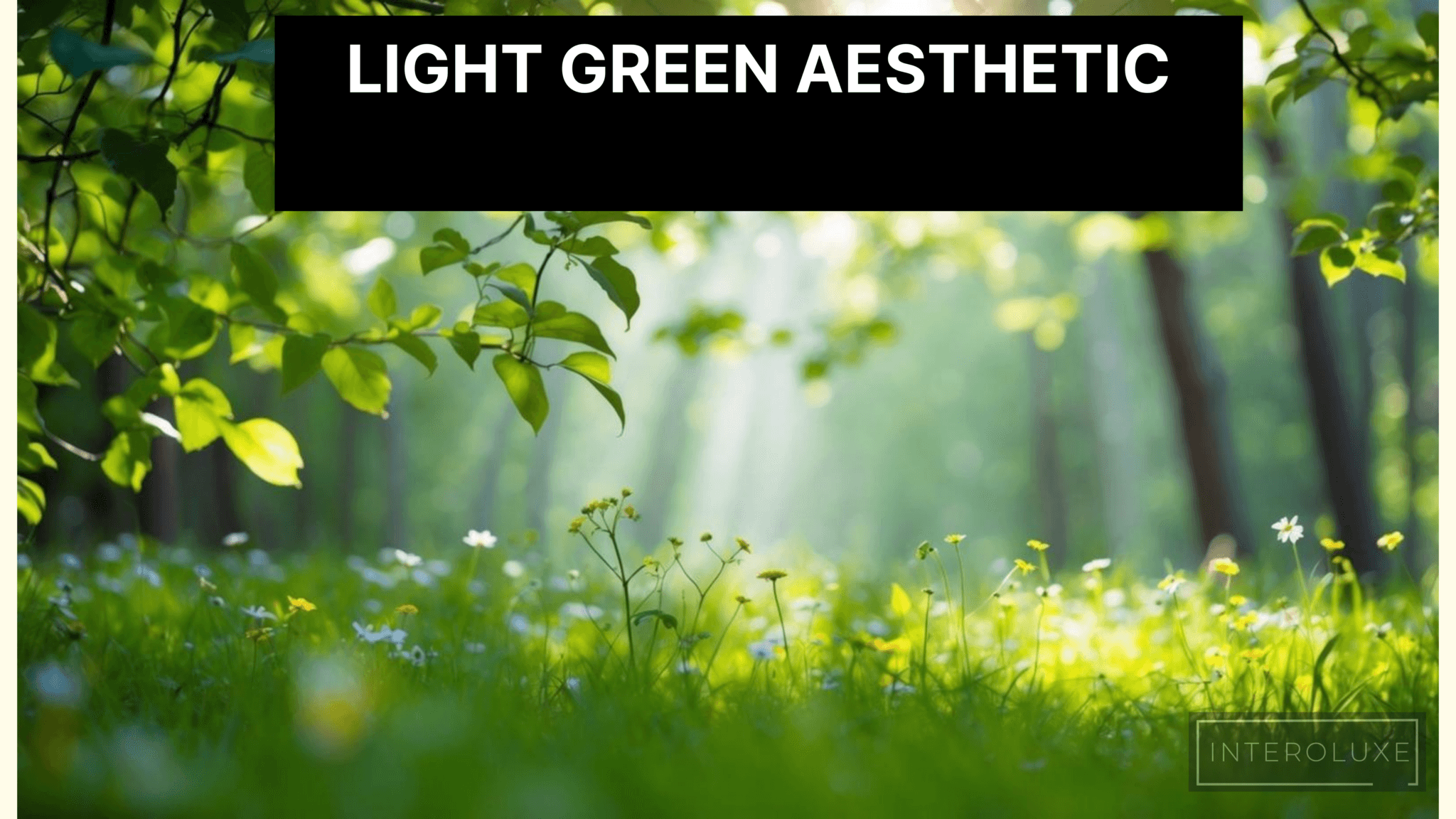 15 Ways To Rock The Light Green Aesthetic (So Fresh & Clean!)